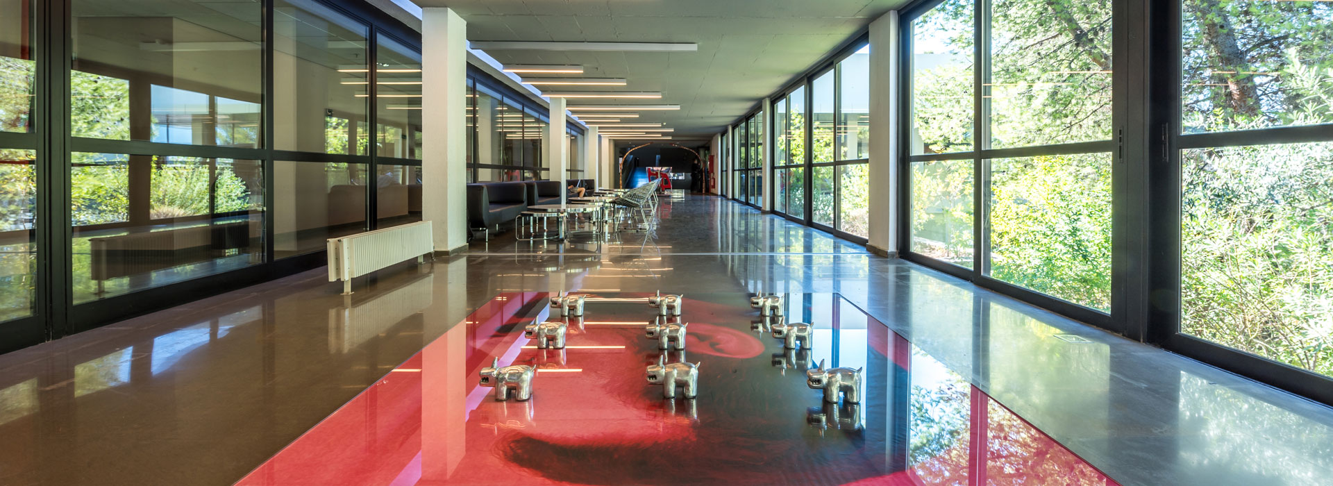 The American College of Greece