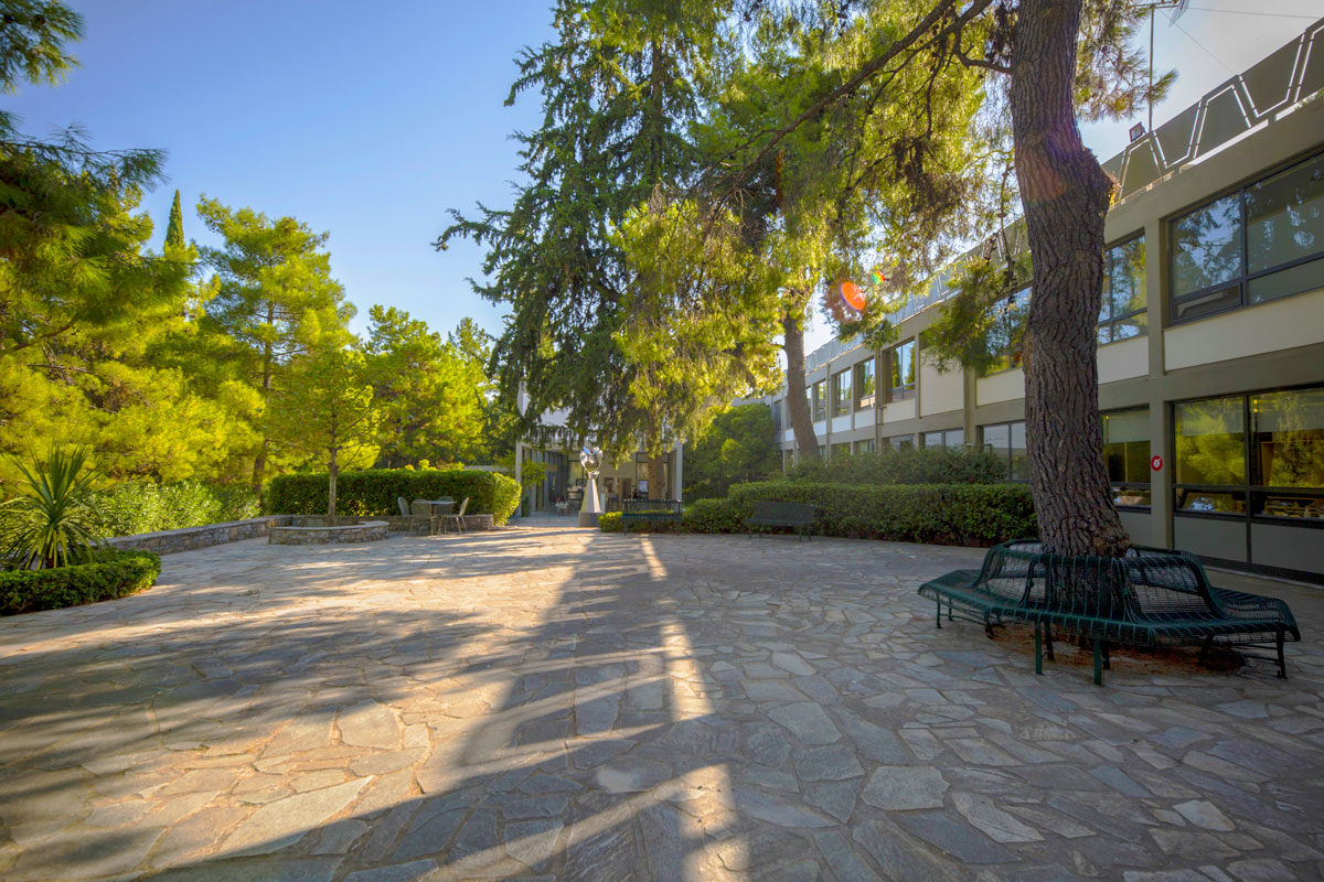 The American College of Greece | ACG spotted on The Princeton Review’s ...