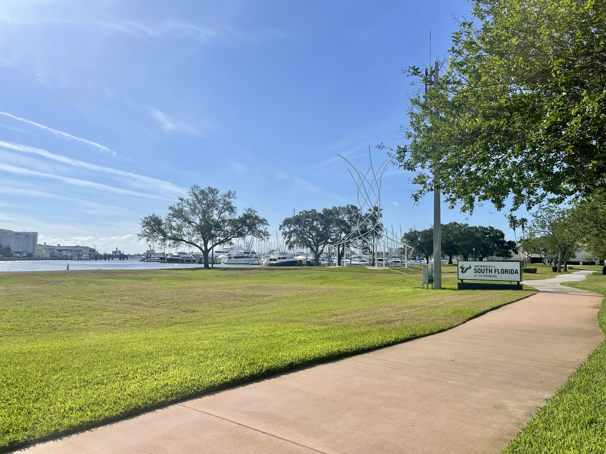 The American College of Greece | Deree Graduate Students’ Educational ...