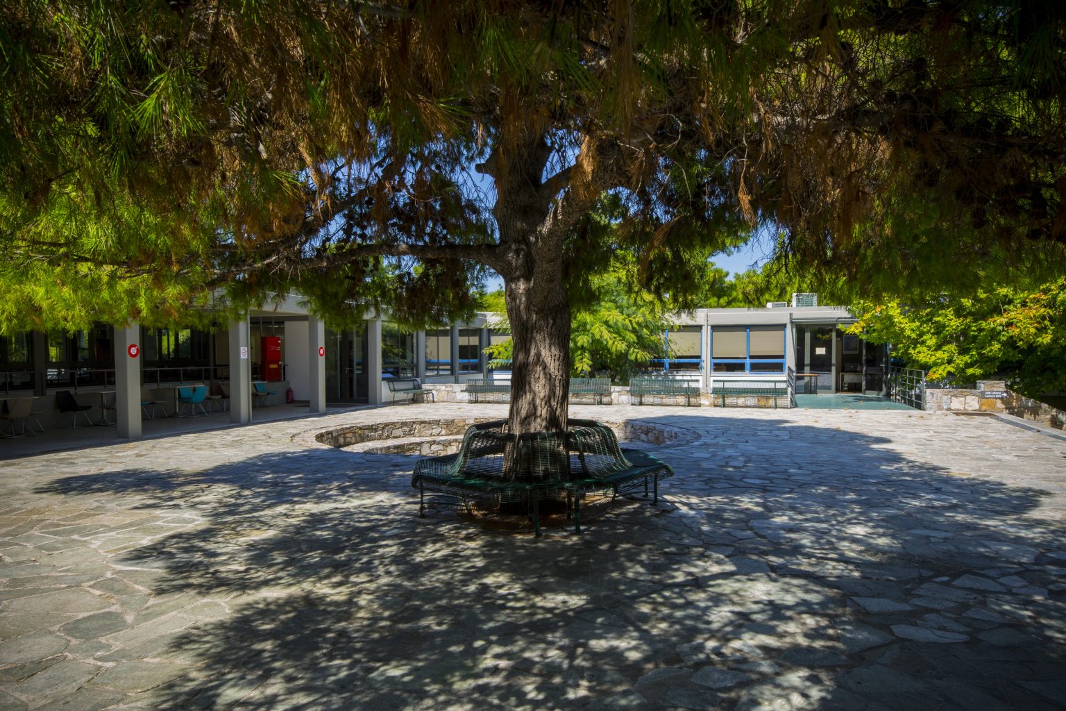 The American College of Greece